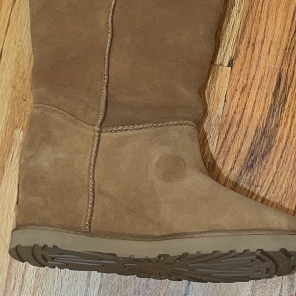 UGG | Shoes | New Ugg Chestnut Over The Knee High Wedge Heel Tall Boots ...